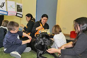 Curso de Adiestramiento de Perros de Terapia - www.doogweb.es