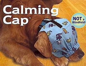 Calming cap, los secretos de su utilización - www.doogweb.es