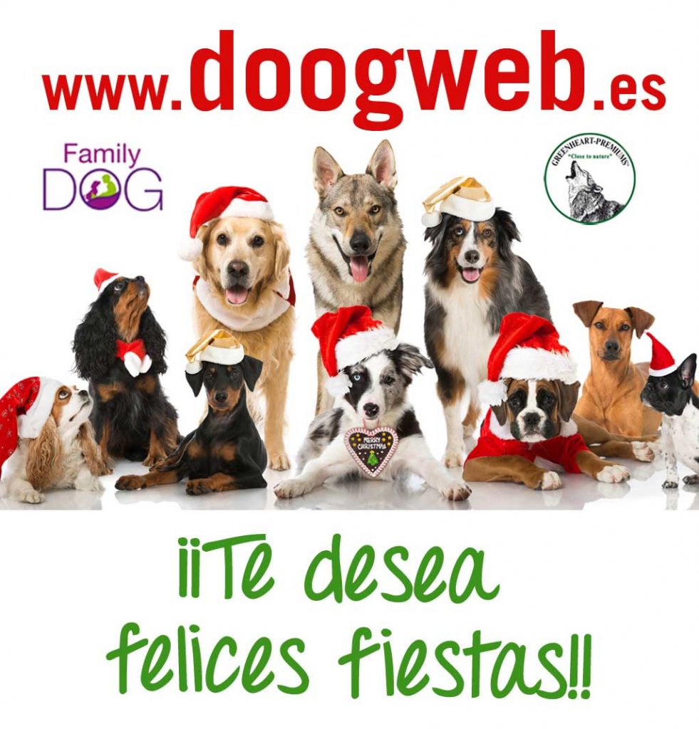 ¡Feliz Navidad perruna y humana! - www.doogweb.es