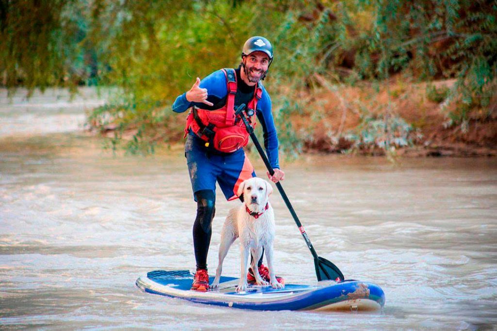 Perros militares ¿qué razas se utilizan? - www.doogweb.es