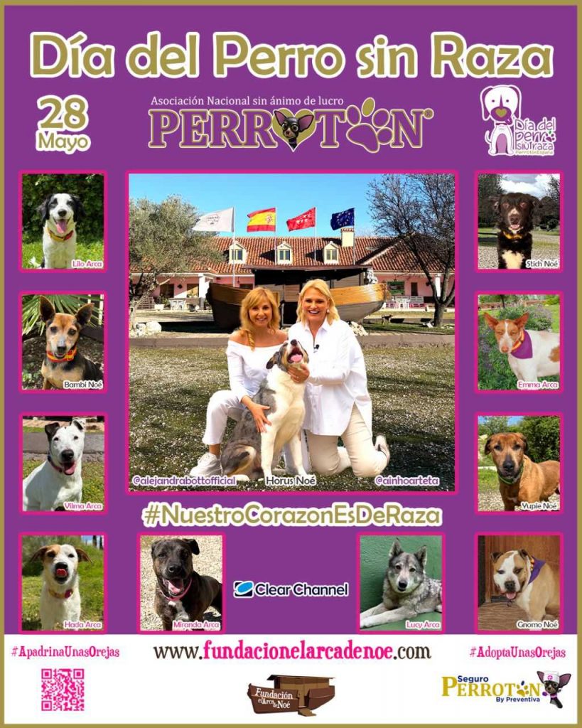 DÍA DEL PERRO SIN RAZA 2025 - www.doogweb.es